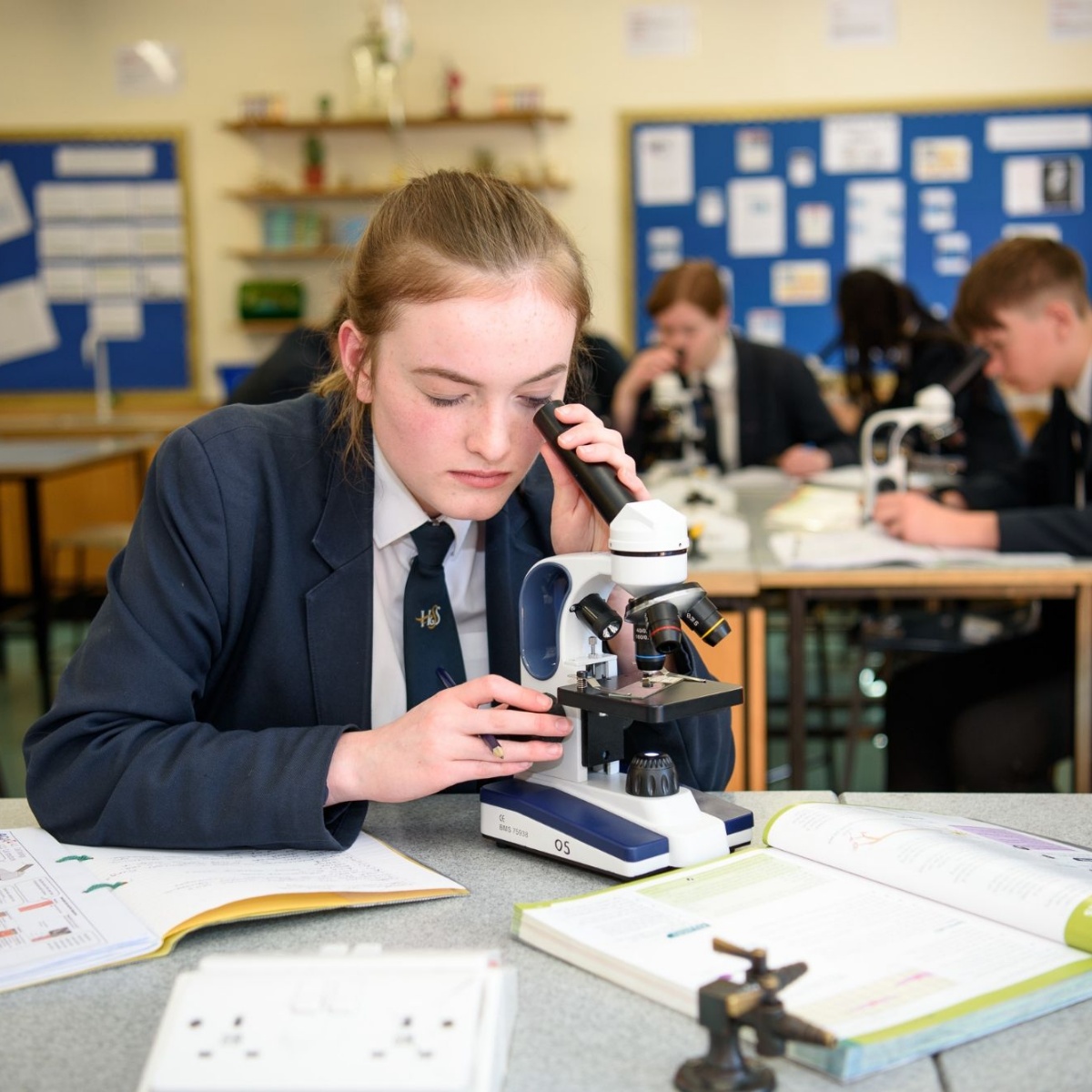 Holmer Green Senior School - Science Teacher